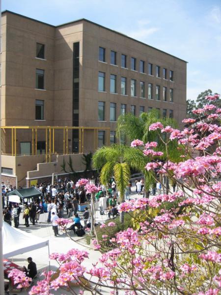 Engineering Faculty, Students Honored by ESC | Samueli School of ...