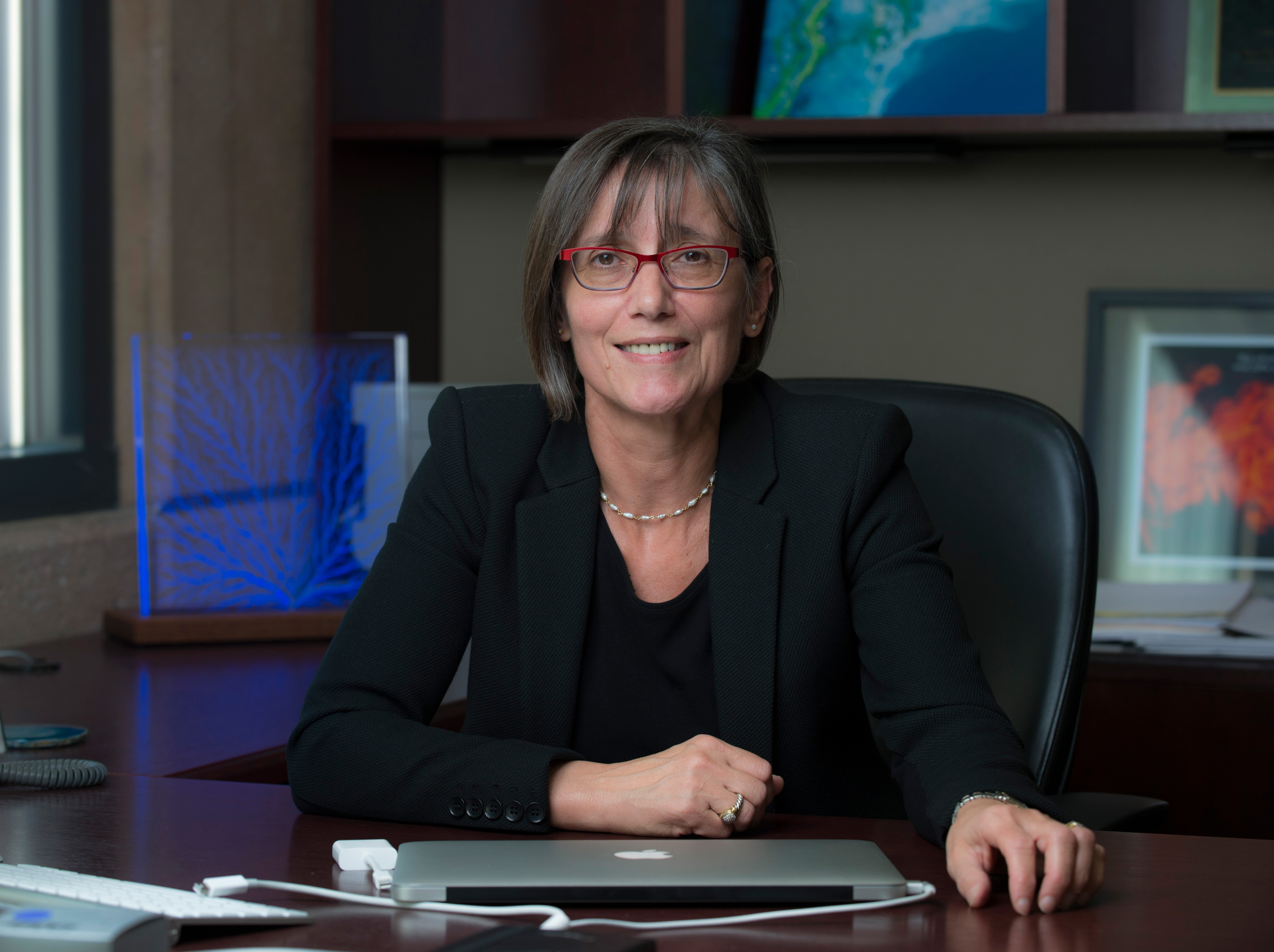 Foufoula-Georgiou Receives Prestigious International Hydrology Prize ...