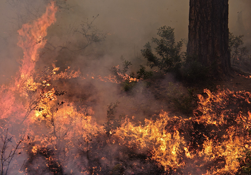 Understanding the Turbulence of Wildfires | Samueli School of ...