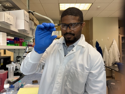 3D Stem Cell Engineering That Could Change the World | Samueli School of Engineering at UC Irvine